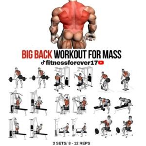 Back Gym Workout Chart: Build a Stronger You