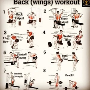 Back Gym Workout Chart: Build a Stronger You