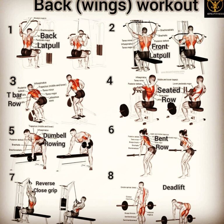 Back Gym Workout Chart: Build a Stronger You