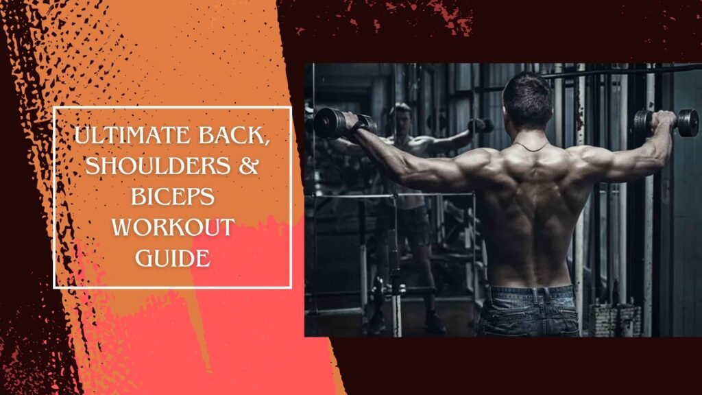 Ultimate Back, Shoulders & Biceps Workout Guide