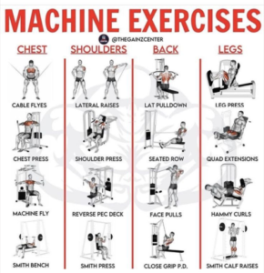 Back Gym Workout Chart: Build a Stronger You